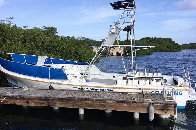 Aruba 2-Tank guided Dive for certified divers / own equipment - Final Thoughts