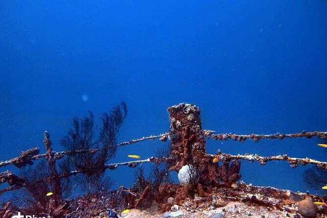 Aruba 2-Tank Guided Dive for Certified Divers / rental equipment - Key Points