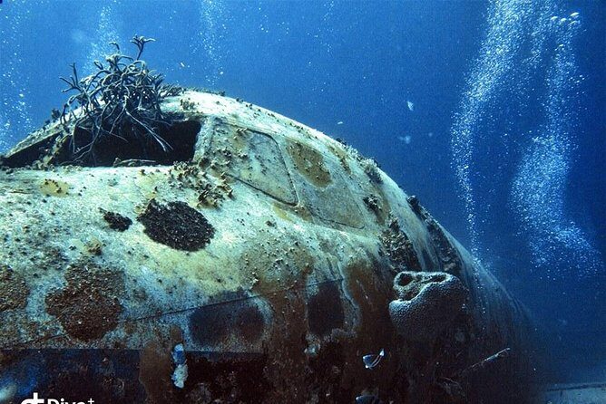 Aruba 2-Tank Guided Dive for Certified Divers / rental equipment - The Sum Up: Is This Tour Worth It?