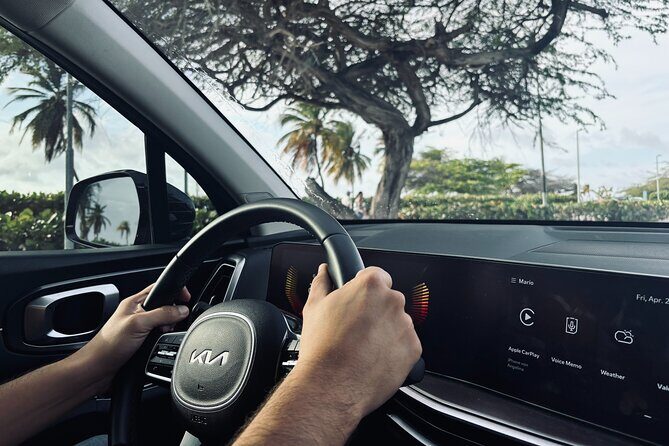 Aruba Airport Private Transfer: Start Your Vacation Stress-Free - Detailed Review: Making the Most of Your Aruba Airport Transfer