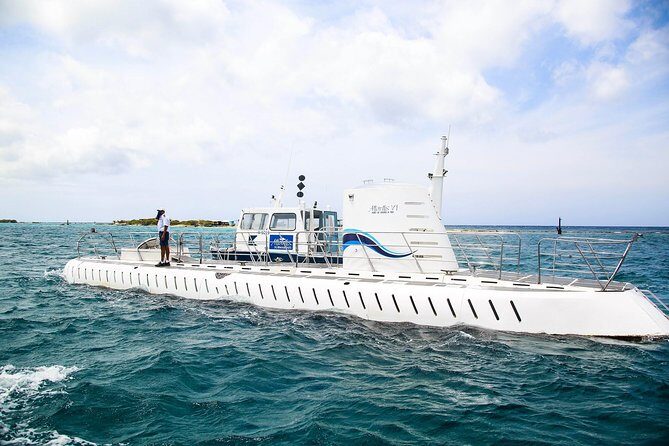 Aruba Atlantis Submarine Tour - Practical Tips for Travelers