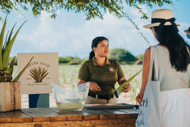 Aruba Baby Beach Express Tour - Key Points