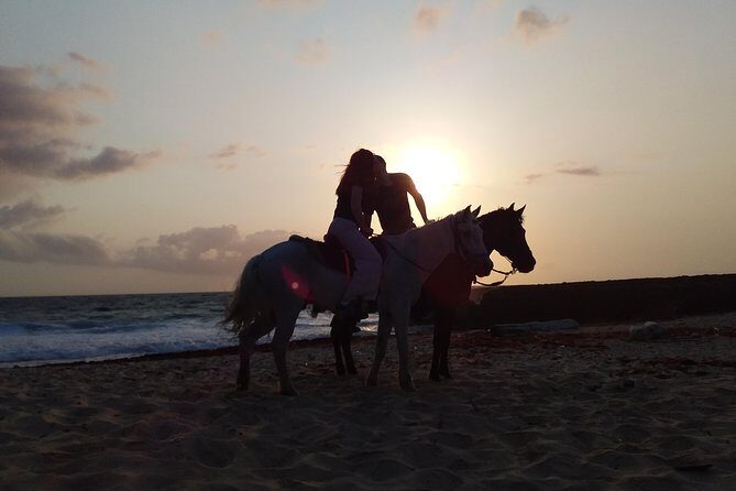 Aruba Beach Ecological Horseback Ride - Final Tips for Travelers