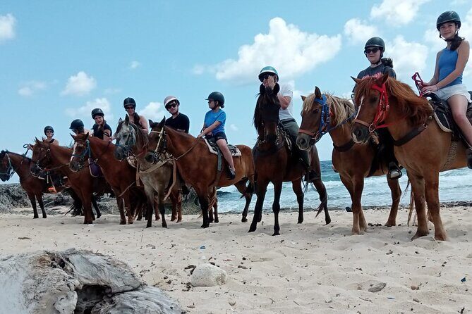 Aruba Beach Ecological Horseback Ride - Frequently Asked Questions