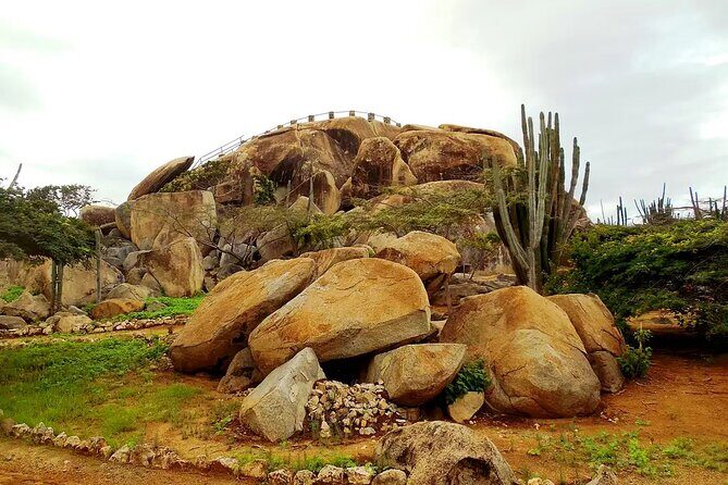 Aruba Cruise Port Tours - The Logistics and Value