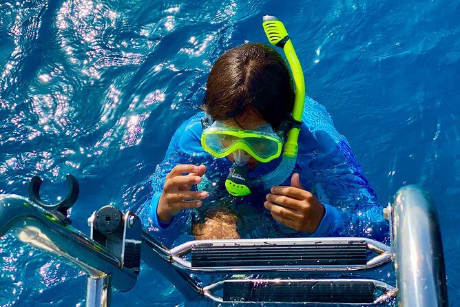 Aruba Element Private Boat Charter (After-Lounge) - Authentic Experiences and Real Feedback