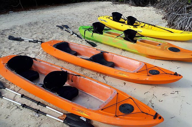 Aruba Glass Bottom Kayak Tour through the Mangrove Forest - FAQ