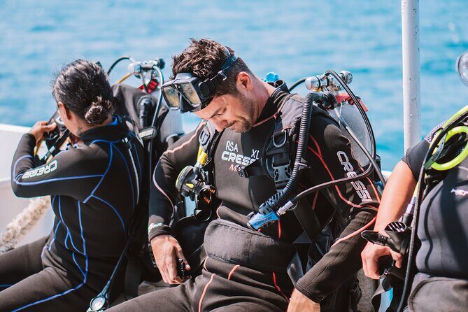 Aruba Guided Night Dive Adventure: Shallow Reefs or Shipwrecks - Key Points