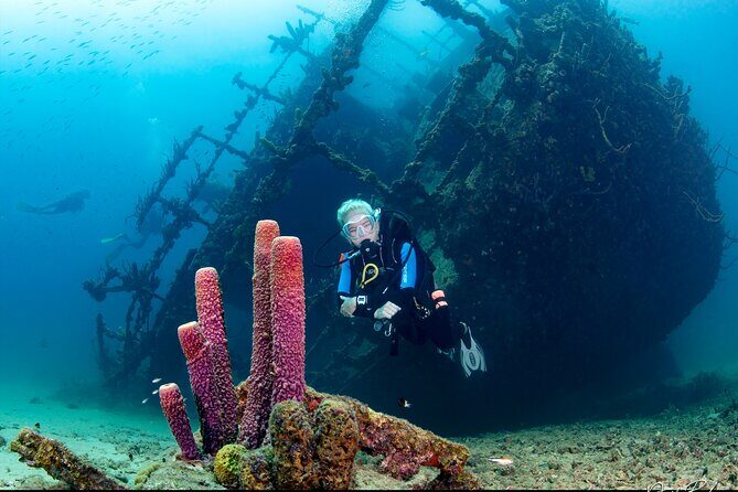 Aruba Guided Night Dive Adventure: Shallow Reefs or Shipwrecks - Who Will Love This Tour?