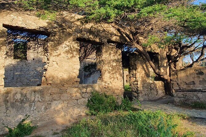 Aruba Highlights 7 Days and 6 Nights - Day 5: Coastal Cruise and Marine Life