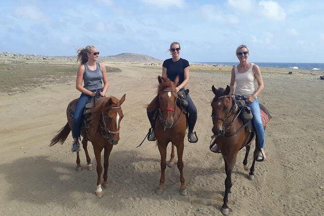 Aruba Horseback Riding Tour For Advanced Riders - Key Points