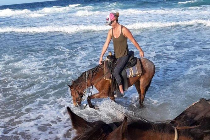 Aruba Horseback Riding Tour For Advanced Riders - An Introduction to the Experience