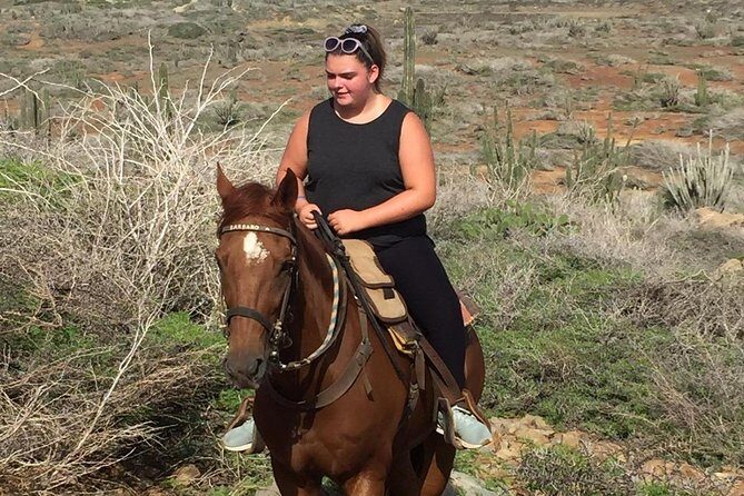 Aruba Horseback Riding Tour For Advanced Riders - Authentic Reviews: Real Voices