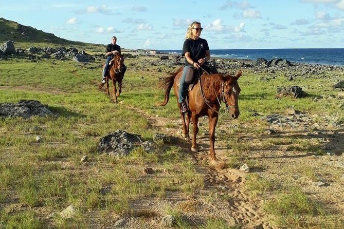 Aruba Horseback Riding Tour to Hidden Lagoon - FAQ