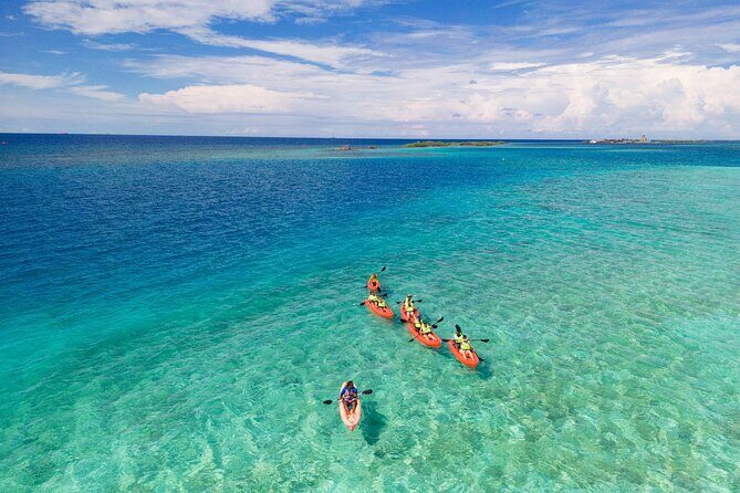 Aruba Kayak Explorers - Exploring the Itinerary: What You Can Expect