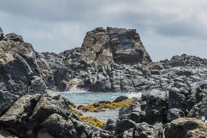 Aruba National Park Tour with Natural Pool & Baby Beach Snorkel - Authentic Experiences and Genuine Reviews