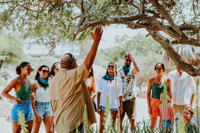 Aruba Natural Wonders Caves and Natural Pool Jeep Tour - FAQs