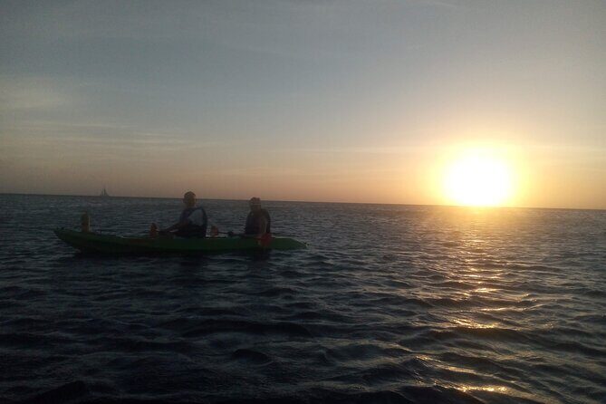 Aruba Night Glass Kayak Tour - Authentic Feedback from Participants