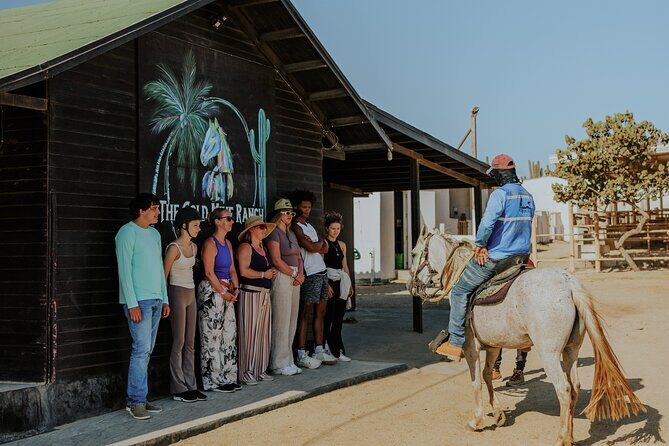 Aruba North Coastline: Small-Group Horseback Riding Tour - An In-Depth Look at the Experience