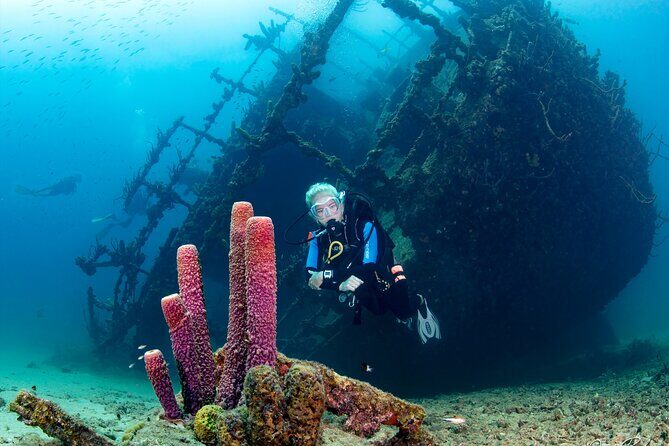 Aruba One or Two Tank Scuba Dive - What You’re Signing Up For
