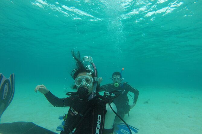 Aruba PADI Scuba Diving Program Non Certified Divers - The Bottom Line