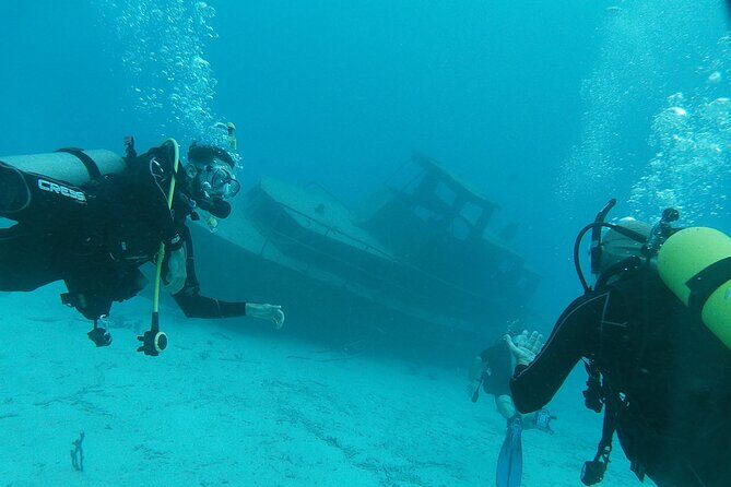 Aruba PADI Scuba Diving Program Non Certified Divers - Who Should Consider This Tour?