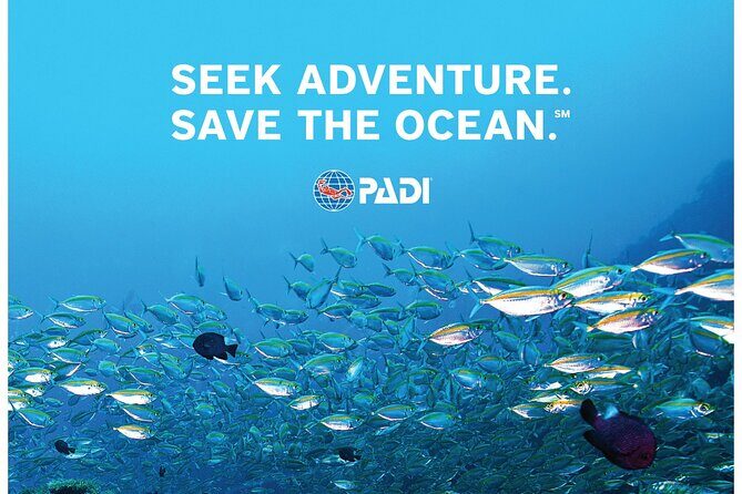 Aruba PADI Scuba Diving Program Non Certified Divers - FAQ