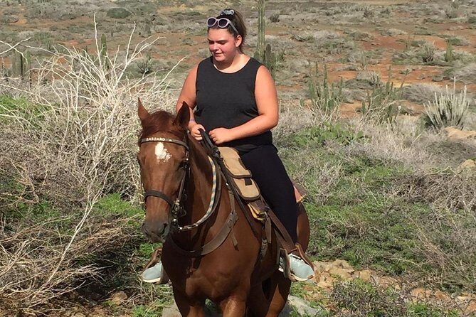 Aruba Private, 2 Hour Horseback Riding Tour For Advanced Riders - An In-Depth Look at the Aruba Horseback Ride Experience