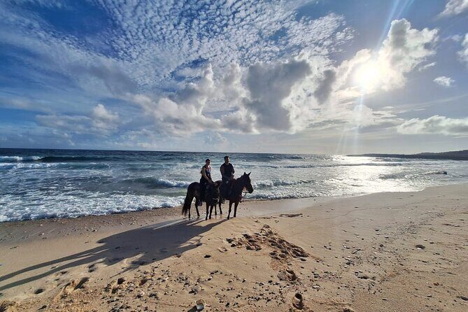 Aruba Private, 2 Hour Horseback Riding Tour For Advanced Riders - Who Should Consider This Tour?