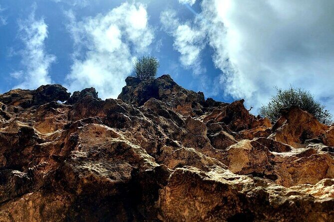 Aruba Private 8 Hour Full Island Customized Adventure Tour - FAQs