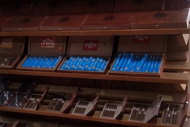 Aruba Private Tours on a ac bus - Final Thoughts: Is This Tour Right for You?