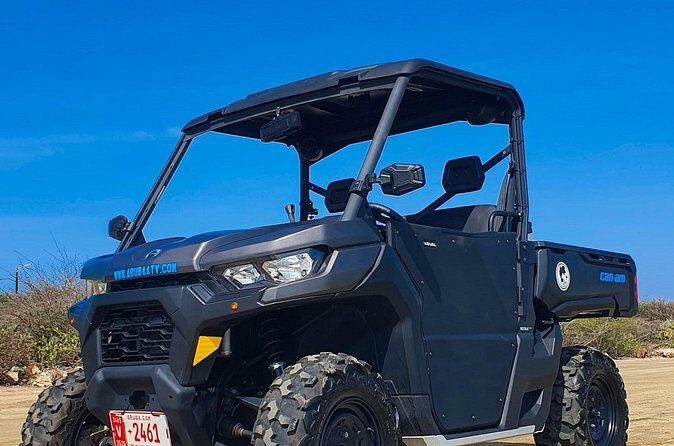 Aruba Rental Explore On Your Own - Reviews: Authentic Voices