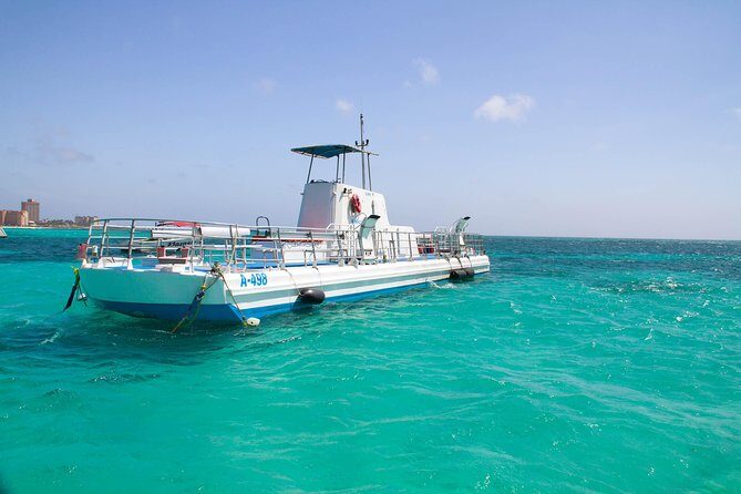 Aruba Semi-Submarine Cruise from Palm Beach - The Sum Up: Why Consider the Aruba Semi-Submarine Tour?