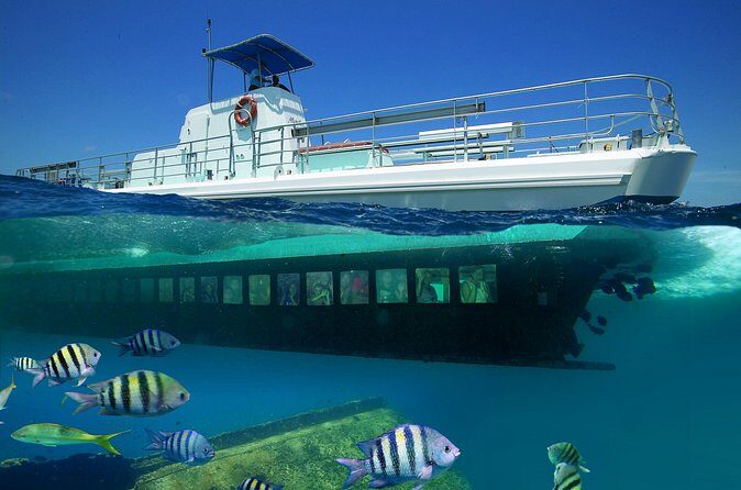 Aruba Semi-Submarine Cruise from Palm Beach - FAQ