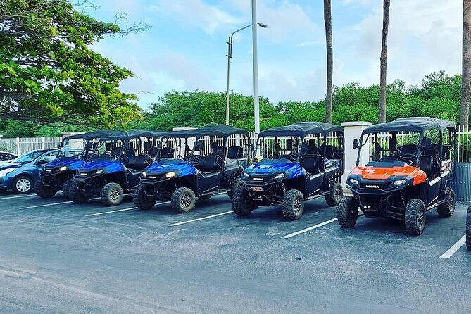 Aruba UTV Rental: 4-Seater for Adventure Exploration - FAQ: Your Questions Answered