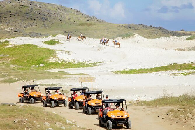 Aruba UTV Tour with Natural Cave Pool and Cliff Jumping - Practical Tips for Participants