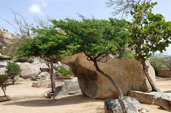 Arubabound Transfers - Final Thoughts: Is Arubabound Transfers Right for You?