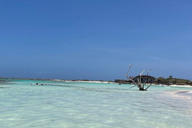 Aruban Local Lunch and Baby Beach Snorkeling - A Detailed Look at the Tour Experience