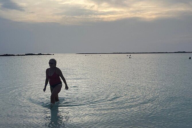 Aruban Local Lunch and Baby Beach Snorkeling - The Sum Up: Who Is This Tour Best For?