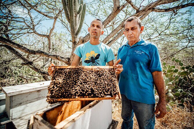 Aruba´s Bee Haven Private Adventure - What to Expect at Aruba’s Bee Haven