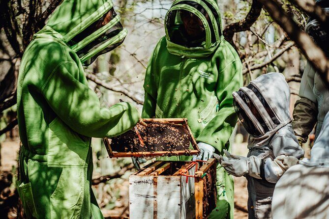 Aruba´s Bee Haven Private Adventure - The Sum Up: Is It Worth It?