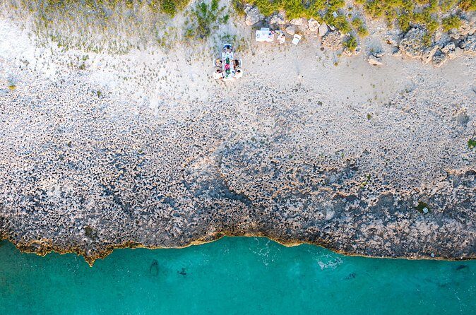 Aruba's Finest Sip and Paint Experience by the Beach - What Travelers Can Expect