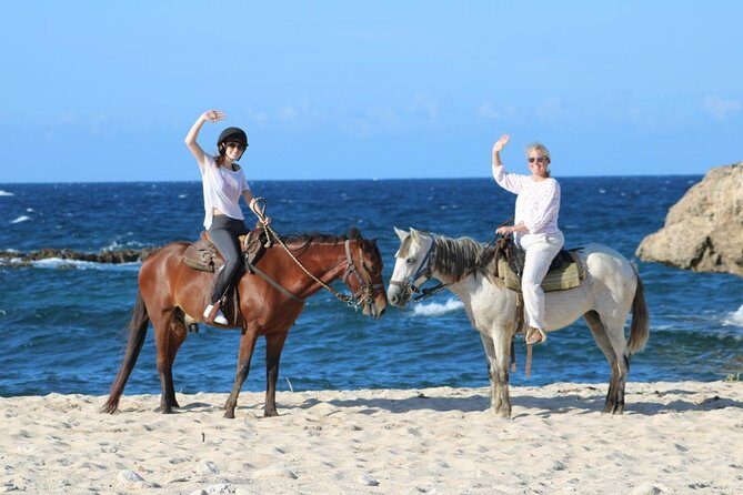 Aruba's Northern Coast Horseback Adventure - Authentic Experiences & Real Guest Feedback