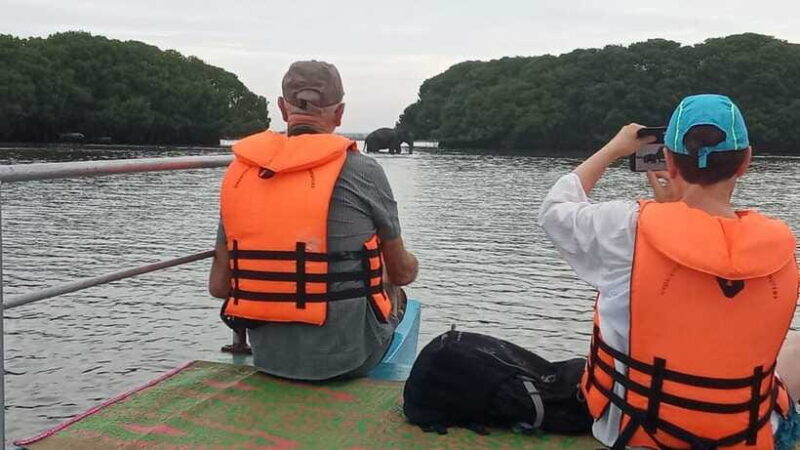 Arugam Bay: Lagoon Boat safari with Safety Measures - Why This Tour Might Be Perfect for You