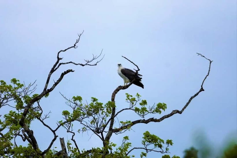 Arugambay :Pottuvil Lagoon Mangrove Eco Boat Safari Tours - FAQs