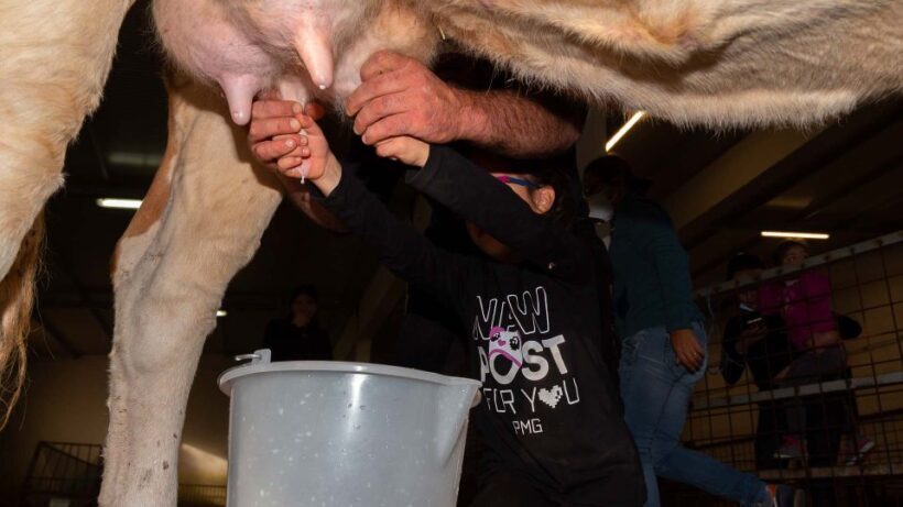 Arzana: Day with a shepherd w/ lunch in a farm - Introduction: An Authentic Sardinian Day with a Shepherd
