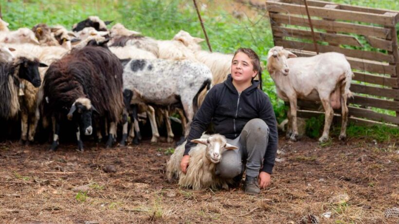 Arzana: Day with a shepherd w/ lunch in a farm - Practical Details: What You Should Know