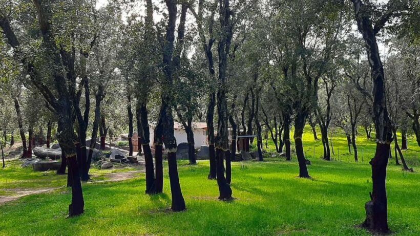 Arzana: Day with a shepherd w/ lunch in a farm - Authenticity and Value: Why This Tour Works