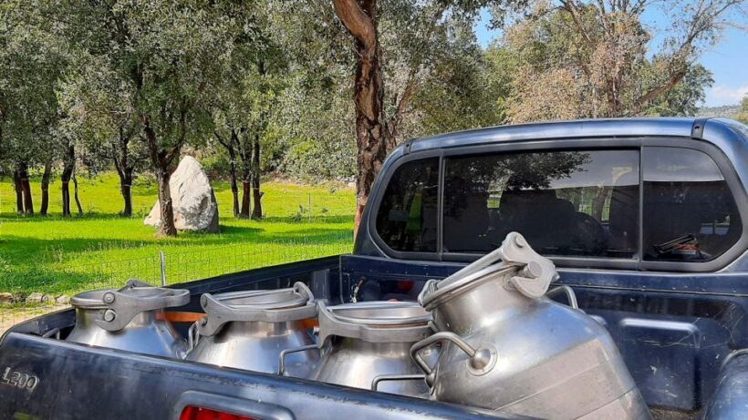 Arzana: Day with a shepherd w/ lunch in a farm - FAQs