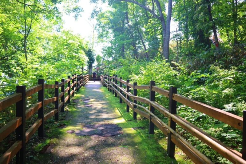 Asahikawa: Immersive 1-day Culture and Culinary Tour - Asahikawa Ramen Delight